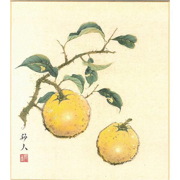 サイズ・色紙寸法：24.2X27.2cm商品説明・メーカーに在庫がある時は、ご入金確認後約１週間で発送します。・お急ぎのかたは「ショップへ相談」からメーカーの在庫状況をお問い合わせください。・このカタログは、2423年1月現在のものです。予...