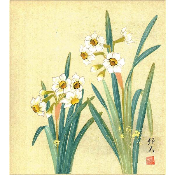 サイズ・色紙寸法：24.2X27.2cm商品説明・メーカーに在庫がある時は、ご入金確認後約１週間で発送します。・お急ぎのかたは「ショップへ相談」からメーカーの在庫状況をお問い合わせください。・このカタログは、2423年1月現在のものです。予...