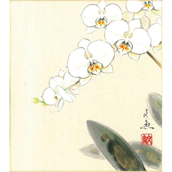 サイズ・色紙寸法：24.2X27.2cm商品説明・メーカーに在庫がある時は、ご入金確認後約１週間で発送します。・お急ぎのかたは「ショップへ相談」からメーカーの在庫状況をお問い合わせください。・このカタログは、2423年1月現在のものです。予...