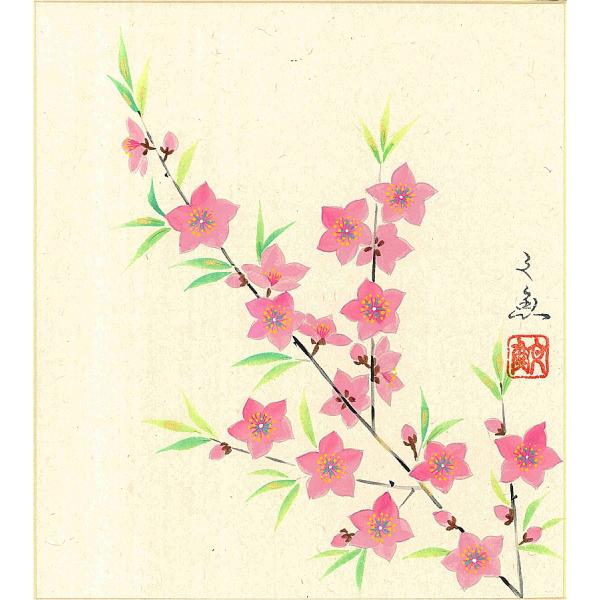 サイズ・色紙寸法：24.2X27.2cm商品説明・メーカーに在庫がある時は、ご入金確認後約１週間で発送します。・お急ぎのかたは「ショップへ相談」からメーカーの在庫状況をお問い合わせください。・このカタログは、2423年1月現在のものです。予...