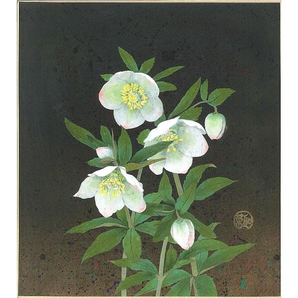 サイズ・色紙寸法：24.2X27.2cm商品説明・メーカーに在庫がある時は、ご入金確認後約１週間で発送します。・お急ぎのかたは「ショップへ相談」からメーカーの在庫状況をお問い合わせください。・このカタログは、2423年1月現在のものです。予...