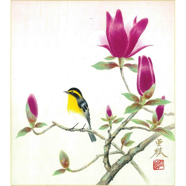 サイズ・色紙寸法：24.2X27.2cm商品説明・メーカーに在庫がある時は、ご入金確認後約１週間で発送します。・お急ぎのかたは「ショップへ相談」からメーカーの在庫状況をお問い合わせください。・このカタログは、2423年1月現在のものです。予...