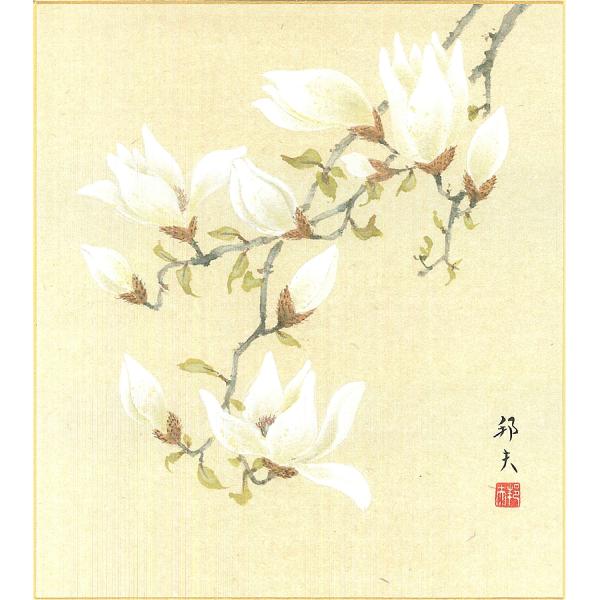 サイズ・色紙寸法：24.2X27.2cm商品説明・メーカーに在庫がある時は、ご入金確認後約１週間で発送します。・お急ぎのかたは「ショップへ相談」からメーカーの在庫状況をお問い合わせください。・このカタログは、2423年1月現在のものです。予...