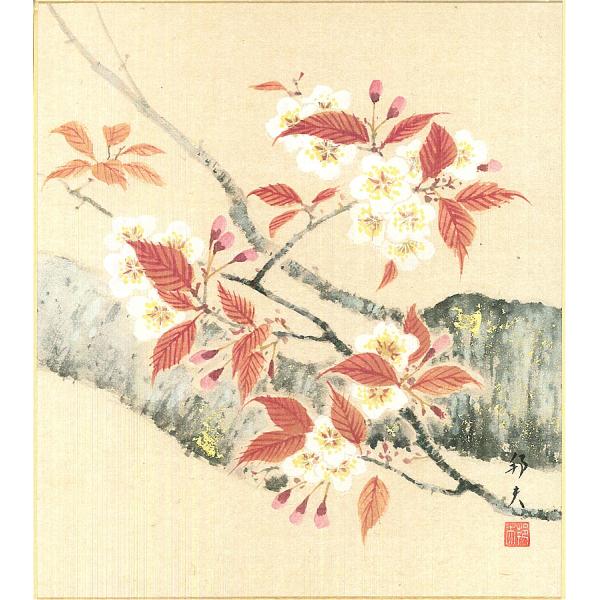 サイズ・色紙寸法：24.2X27.2cm商品説明・メーカーに在庫がある時は、ご入金確認後約１週間で発送します。・お急ぎのかたは「ショップへ相談」からメーカーの在庫状況をお問い合わせください。・このカタログは、2423年1月現在のものです。予...