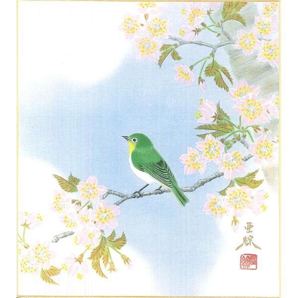 サイズ・色紙寸法：24.2X27.2cm商品説明・メーカーに在庫がある時は、ご入金確認後約１週間で発送します。・お急ぎのかたは「ショップへ相談」からメーカーの在庫状況をお問い合わせください。・このカタログは、2423年1月現在のものです。予...