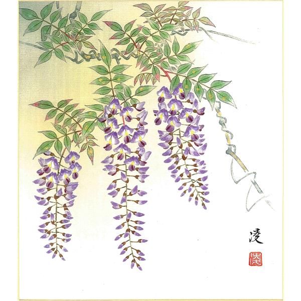 サイズ・色紙寸法：24.2X27.2cm商品説明・メーカーに在庫がある時は、ご入金確認後約１週間で発送します。・お急ぎのかたは「ショップへ相談」からメーカーの在庫状況をお問い合わせください。・このカタログは、2423年1月現在のものです。予...