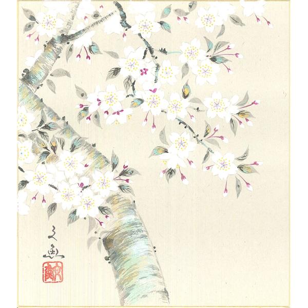 サイズ・色紙寸法：24.2X27.2cm商品説明・メーカーに在庫がある時は、ご入金確認後約１週間で発送します。・お急ぎのかたは「ショップへ相談」からメーカーの在庫状況をお問い合わせください。・このカタログは、2423年1月現在のものです。予...