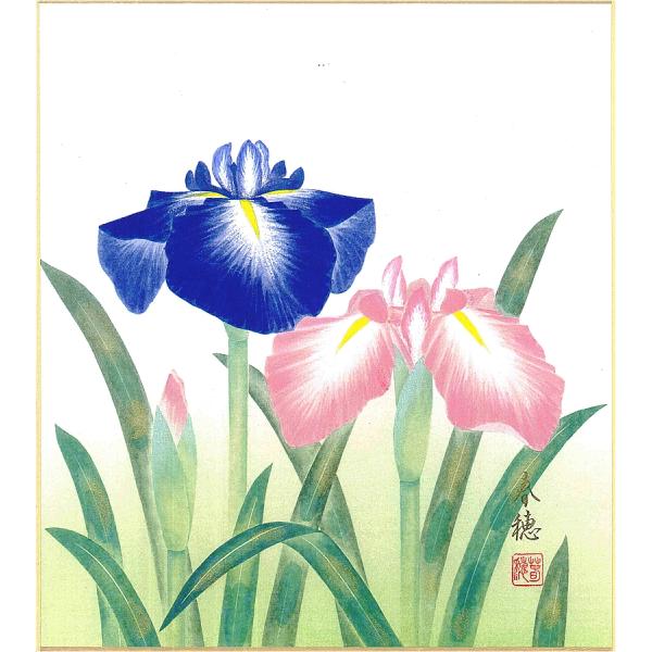 サイズ・色紙寸法：24.2X27.2cm商品説明・メーカーに在庫がある時は、ご入金確認後約１週間で発送します。・お急ぎのかたは「ショップへ相談」からメーカーの在庫状況をお問い合わせください。・このカタログは、2423年1月現在のものです。予...