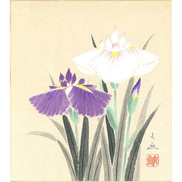 サイズ・色紙寸法：24.2X27.2cm商品説明・メーカーに在庫がある時は、ご入金確認後約１週間で発送します。・お急ぎのかたは「ショップへ相談」からメーカーの在庫状況をお問い合わせください。・このカタログは、2423年1月現在のものです。予...