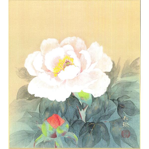 サイズ・色紙寸法：24.2X27.2cm商品説明・メーカーに在庫がある時は、ご入金確認後約１週間で発送します。・お急ぎのかたは「ショップへ相談」からメーカーの在庫状況をお問い合わせください。・このカタログは、2423年1月現在のものです。予...