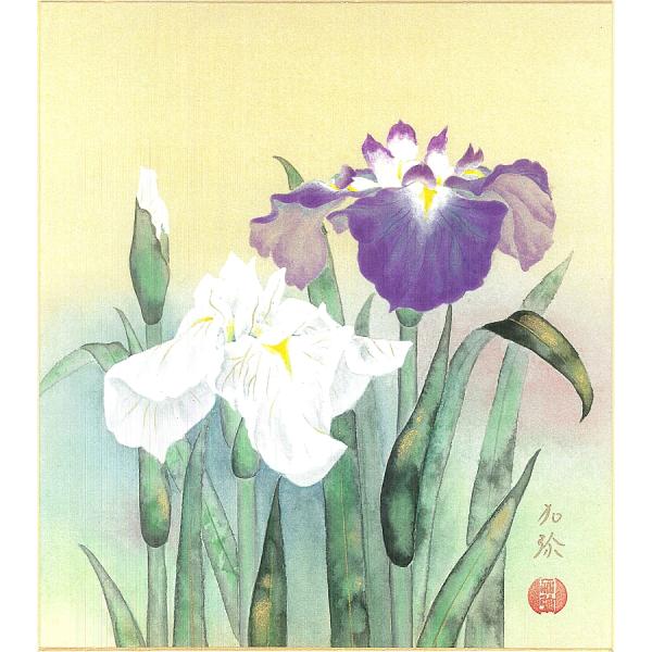 サイズ・色紙寸法：24.2X27.2cm商品説明・メーカーに在庫がある時は、ご入金確認後約１週間で発送します。・お急ぎのかたは「ショップへ相談」からメーカーの在庫状況をお問い合わせください。・このカタログは、2423年1月現在のものです。予...