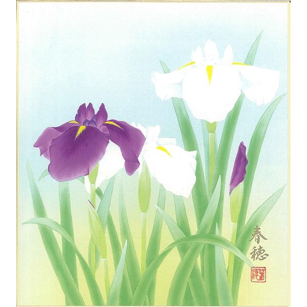 サイズ・色紙寸法：24.2X27.2cm商品説明・メーカーに在庫がある時は、ご入金確認後約１週間で発送します。・お急ぎのかたは「ショップへ相談」からメーカーの在庫状況をお問い合わせください。・このカタログは、2423年1月現在のものです。予...