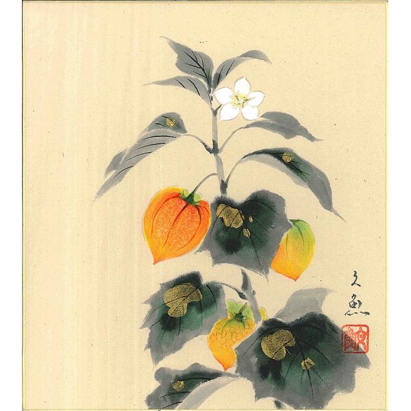 サイズ・色紙寸法：24.2X27.2cm商品説明・メーカーに在庫がある時は、ご入金確認後約１週間で発送します。・お急ぎのかたは「ショップへ相談」からメーカーの在庫状況をお問い合わせください。・このカタログは、2423年1月現在のものです。予...