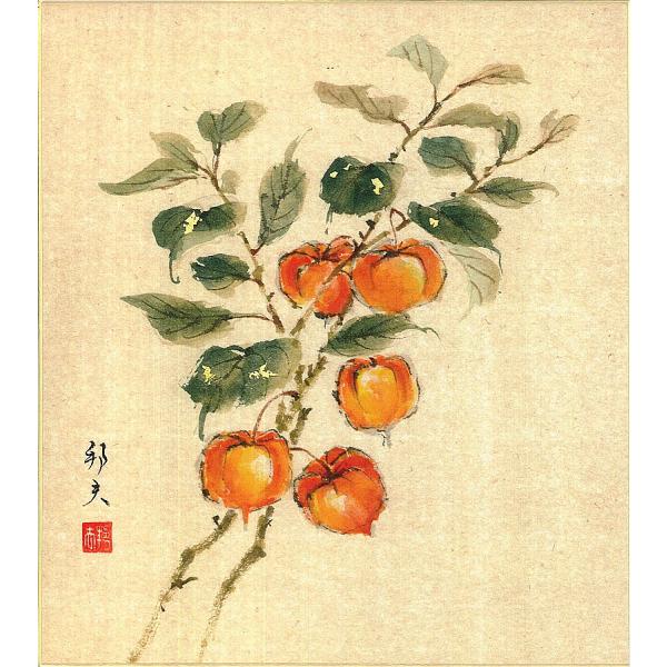 サイズ・色紙寸法：24.2X27.2cm商品説明・メーカーに在庫がある時は、ご入金確認後約１週間で発送します。・お急ぎのかたは「ショップへ相談」からメーカーの在庫状況をお問い合わせください。・このカタログは、2423年1月現在のものです。予...