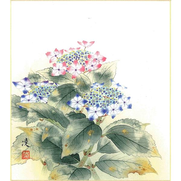 サイズ・色紙寸法：24.2X27.2cm商品説明・メーカーに在庫がある時は、ご入金確認後約１週間で発送します。・お急ぎのかたは「ショップへ相談」からメーカーの在庫状況をお問い合わせください。・このカタログは、2423年1月現在のものです。予...