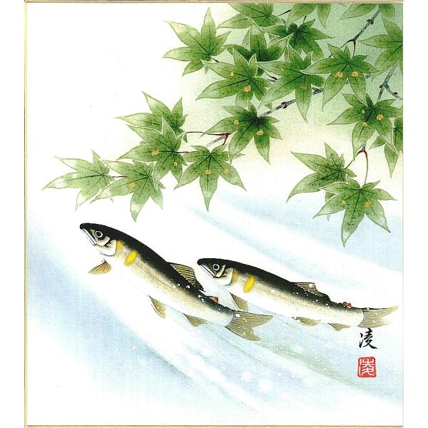 サイズ・色紙寸法：24.2X27.2cm商品説明・メーカーに在庫がある時は、ご入金確認後約１週間で発送します。・お急ぎのかたは「ショップへ相談」からメーカーの在庫状況をお問い合わせください。・このカタログは、2423年1月現在のものです。予...