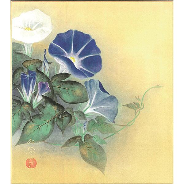 サイズ・色紙寸法：24.2X27.2cm商品説明・メーカーに在庫がある時は、ご入金確認後約１週間で発送します。・お急ぎのかたは「ショップへ相談」からメーカーの在庫状況をお問い合わせください。・このカタログは、2423年1月現在のものです。予...