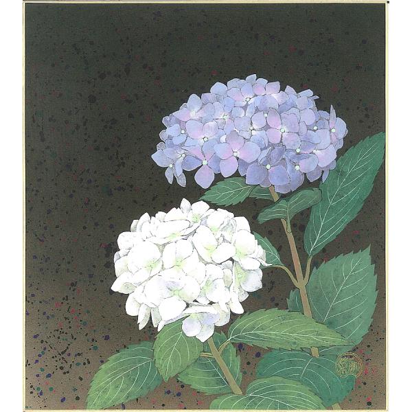 サイズ・色紙寸法：24.2X27.2cm商品説明・メーカーに在庫がある時は、ご入金確認後約１週間で発送します。・お急ぎのかたは「ショップへ相談」からメーカーの在庫状況をお問い合わせください。・このカタログは、2423年1月現在のものです。予...