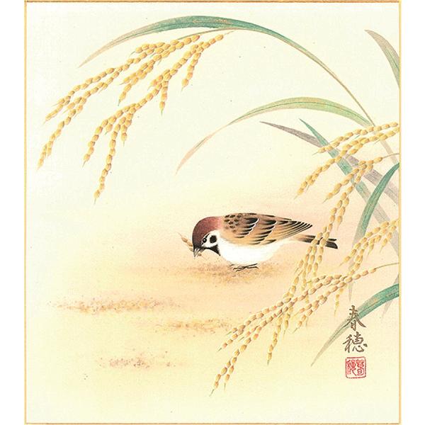 サイズ・色紙寸法：24.2X27.2cm商品説明・メーカーに在庫がある時は、ご入金確認後約１週間で発送します。・お急ぎのかたは「ショップへ相談」からメーカーの在庫状況をお問い合わせください。・このカタログは、2423年1月現在のものです。予...