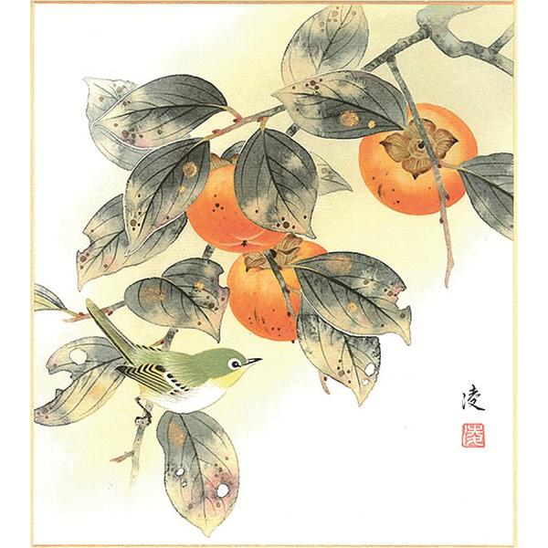 サイズ・色紙寸法：24.2X27.2cm商品説明・メーカーに在庫がある時は、ご入金確認後約１週間で発送します。・お急ぎのかたは「ショップへ相談」からメーカーの在庫状況をお問い合わせください。・このカタログは、2423年1月現在のものです。予...