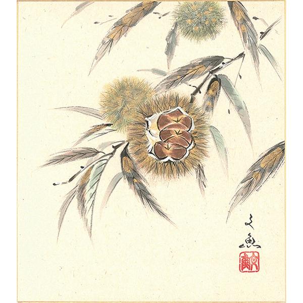 サイズ・色紙寸法：24.2X27.2cm商品説明・メーカーに在庫がある時は、ご入金確認後約１週間で発送します。・お急ぎのかたは「ショップへ相談」からメーカーの在庫状況をお問い合わせください。・このカタログは、2423年1月現在のものです。予...