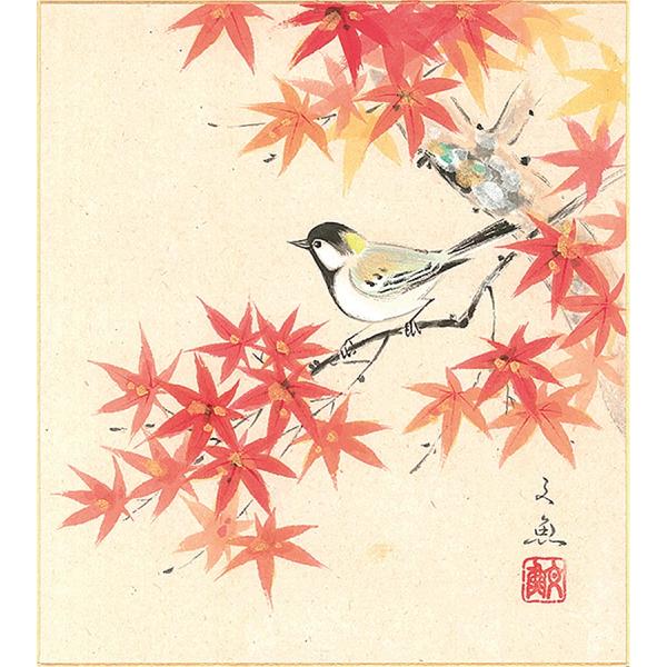 サイズ・色紙寸法：24.2X27.2cm商品説明・メーカーに在庫がある時は、ご入金確認後約１週間で発送します。・お急ぎのかたは「ショップへ相談」からメーカーの在庫状況をお問い合わせください。・このカタログは、2423年1月現在のものです。予...