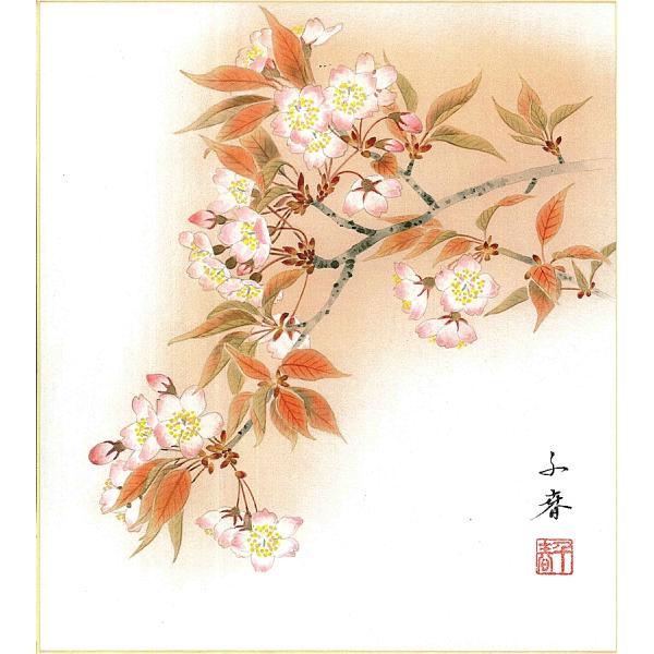 サイズ・色紙寸法：24.2X27.2cm商品説明・メーカーに在庫がある時は、ご入金確認後約１週間で発送します。・お急ぎのかたは「ショップへ相談」からメーカーの在庫状況をお問い合わせください。・このカタログは、2423年1月現在のものです。予...