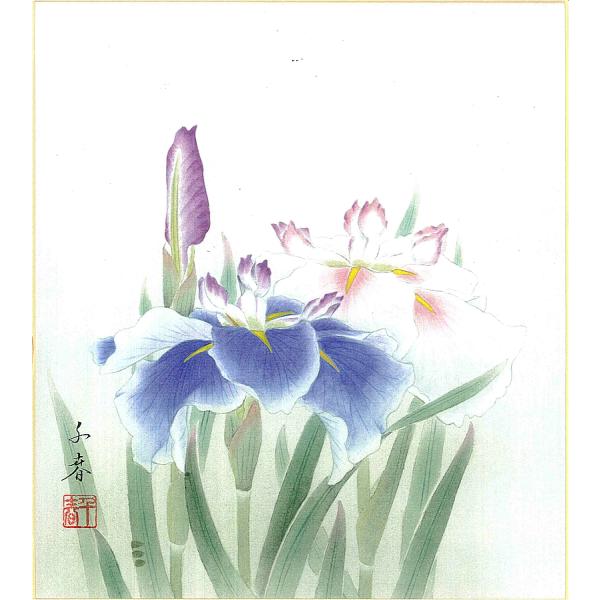 サイズ・色紙寸法：24.2X27.2cm商品説明・メーカーに在庫がある時は、ご入金確認後約１週間で発送します。・お急ぎのかたは「ショップへ相談」からメーカーの在庫状況をお問い合わせください。・このカタログは、2423年1月現在のものです。予...