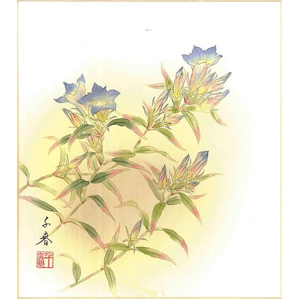 サイズ・色紙寸法：24.2X27.2cm商品説明・メーカーに在庫がある時は、ご入金確認後約１週間で発送します。・お急ぎのかたは「ショップへ相談」からメーカーの在庫状況をお問い合わせください。・このカタログは、2423年1月現在のものです。予...