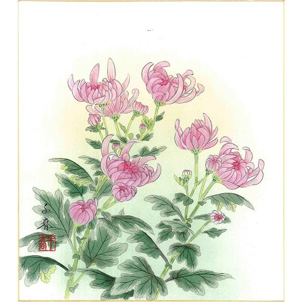 サイズ・色紙寸法：24.2X27.2cm商品説明・メーカーに在庫がある時は、ご入金確認後約１週間で発送します。・お急ぎのかたは「ショップへ相談」からメーカーの在庫状況をお問い合わせください。・このカタログは、2423年1月現在のものです。予...