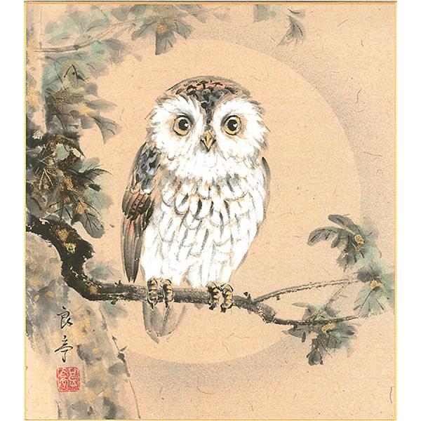 サイズ・色紙寸法：24.2X27.2cm商品説明・メーカーに在庫がある時は、ご入金確認後約１週間で発送します。・お急ぎのかたは「ショップへ相談」からメーカーの在庫状況をお問い合わせください。・このカタログは、2423年1月現在のものです。予...