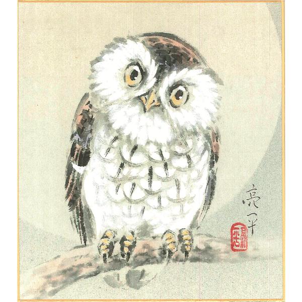 サイズ・寸松庵寸法：13.6X12.1cm商品説明・メーカーに在庫がある時は、ご入金確認後約１週間で発送します。・お急ぎのかたは「ショップへ相談」からメーカーの在庫状況をお問い合わせください。・このカタログは、2423年1月現在のものです。...