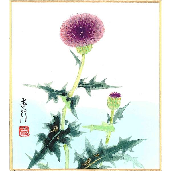 サイズ・寸松庵寸法：13.6X12.1cm商品説明・メーカーに在庫がある時は、ご入金確認後約１週間で発送します。・お急ぎのかたは「ショップへ相談」からメーカーの在庫状況をお問い合わせください。・このカタログは、2423年1月現在のものです。...