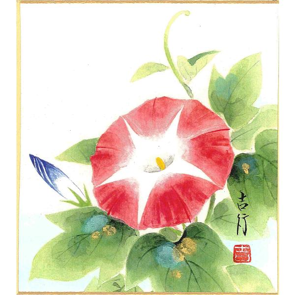 サイズ・寸松庵寸法：13.6X12.1cm商品説明・メーカーに在庫がある時は、ご入金確認後約１週間で発送します。・お急ぎのかたは「ショップへ相談」からメーカーの在庫状況をお問い合わせください。・このカタログは、2423年1月現在のものです。...