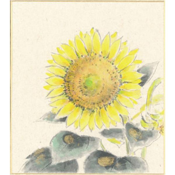 サイズ・寸松庵寸法：13.6X12.1cm商品説明・メーカーに在庫がある時は、ご入金確認後約１週間で発送します。・お急ぎのかたは「ショップへ相談」からメーカーの在庫状況をお問い合わせください。・このカタログは、2423年1月現在のものです。...