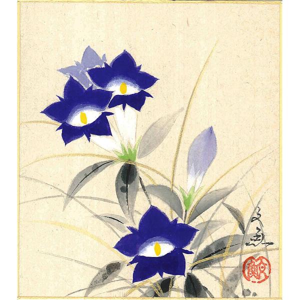 サイズ・寸松庵寸法：13.6X12.1cm商品説明・メーカーに在庫がある時は、ご入金確認後約１週間で発送します。・お急ぎのかたは「ショップへ相談」からメーカーの在庫状況をお問い合わせください。・このカタログは、2423年1月現在のものです。...