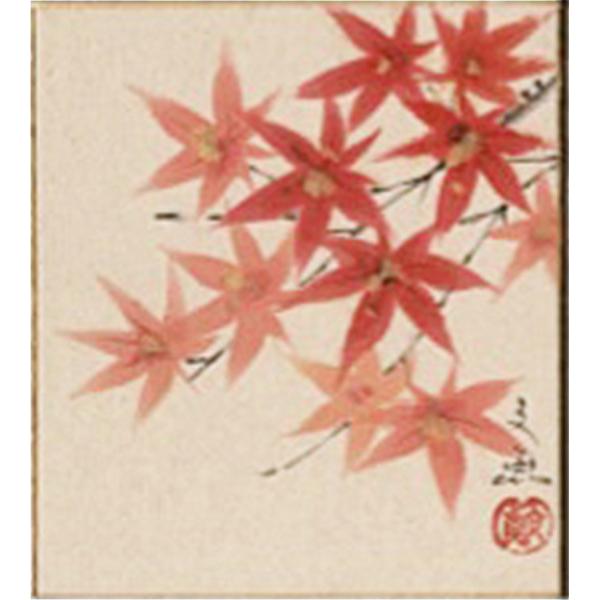 サイズ・寸松庵寸法：13.6X12.1cm商品説明・メーカーに在庫がある時は、ご入金確認後約１週間で発送します。・お急ぎのかたは「ショップへ相談」からメーカーの在庫状況をお問い合わせください。・このカタログは、2423年1月現在のものです。...