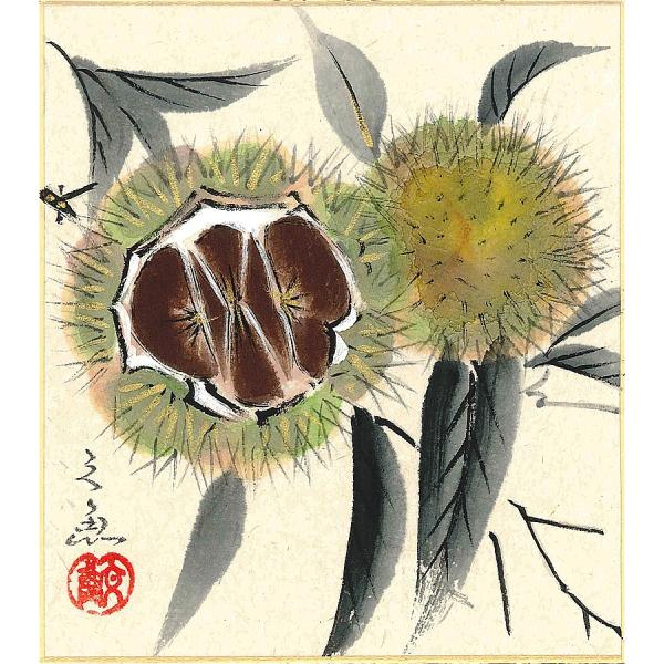 サイズ・寸松庵寸法：13.6X12.1cm商品説明・メーカーに在庫がある時は、ご入金確認後約１週間で発送します。・お急ぎのかたは「ショップへ相談」からメーカーの在庫状況をお問い合わせください。・このカタログは、2423年1月現在のものです。...