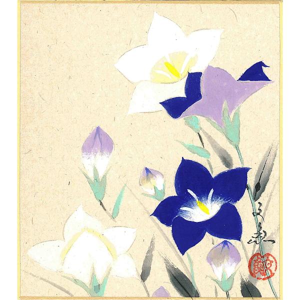 サイズ・寸松庵寸法：13.6X12.1cm商品説明・メーカーに在庫がある時は、ご入金確認後約１週間で発送します。・お急ぎのかたは「ショップへ相談」からメーカーの在庫状況をお問い合わせください。・このカタログは、2423年1月現在のものです。...