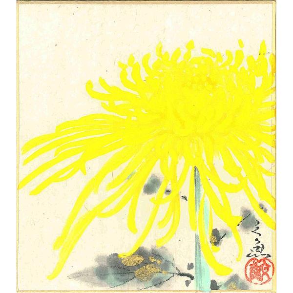 サイズ・寸松庵寸法：13.6X12.1cm商品説明・メーカーに在庫がある時は、ご入金確認後約１週間で発送します。・お急ぎのかたは「ショップへ相談」からメーカーの在庫状況をお問い合わせください。・このカタログは、2423年1月現在のものです。...