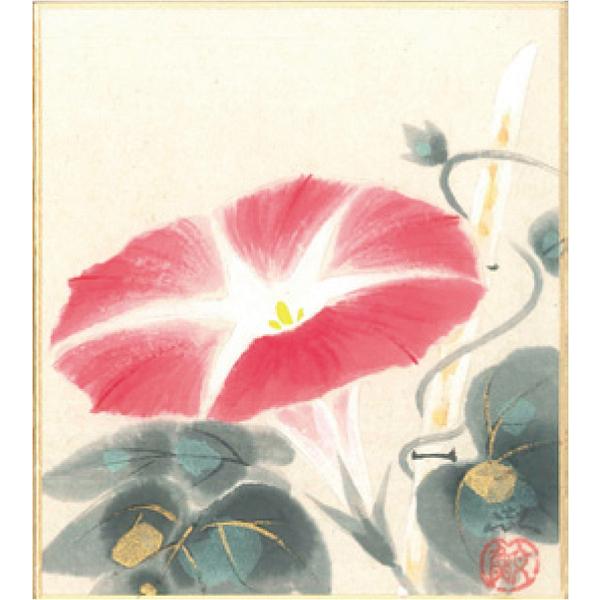 サイズ・寸松庵寸法：13.6X12.1cm商品説明・メーカーに在庫がある時は、ご入金確認後約１週間で発送します。・お急ぎのかたは「ショップへ相談」からメーカーの在庫状況をお問い合わせください。・このカタログは、2423年1月現在のものです。...