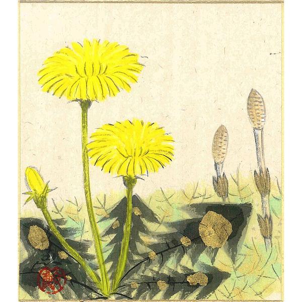 サイズ・寸松庵寸法：13.6X12.1cm商品説明・メーカーに在庫がある時は、ご入金確認後約１週間で発送します。・お急ぎのかたは「ショップへ相談」からメーカーの在庫状況をお問い合わせください。・このカタログは、2423年1月現在のものです。...