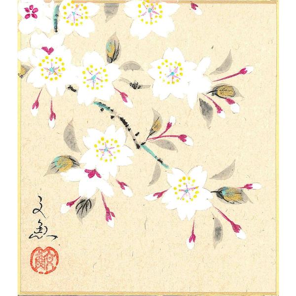 サイズ・寸松庵寸法：13.6X12.1cm商品説明・メーカーに在庫がある時は、ご入金確認後約１週間で発送します。・お急ぎのかたは「ショップへ相談」からメーカーの在庫状況をお問い合わせください。・このカタログは、2423年1月現在のものです。...