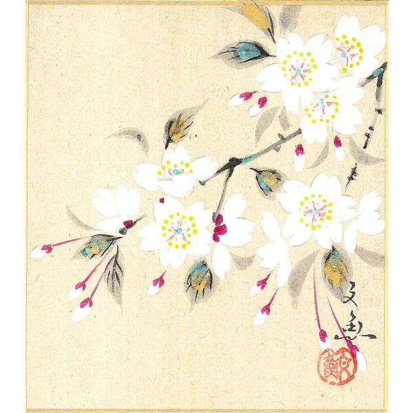 サイズ・寸松庵寸法：13.6X12.1cm商品説明・メーカーに在庫がある時は、ご入金確認後約１週間で発送します。・お急ぎのかたは「ショップへ相談」からメーカーの在庫状況をお問い合わせください。・このカタログは、2423年1月現在のものです。...