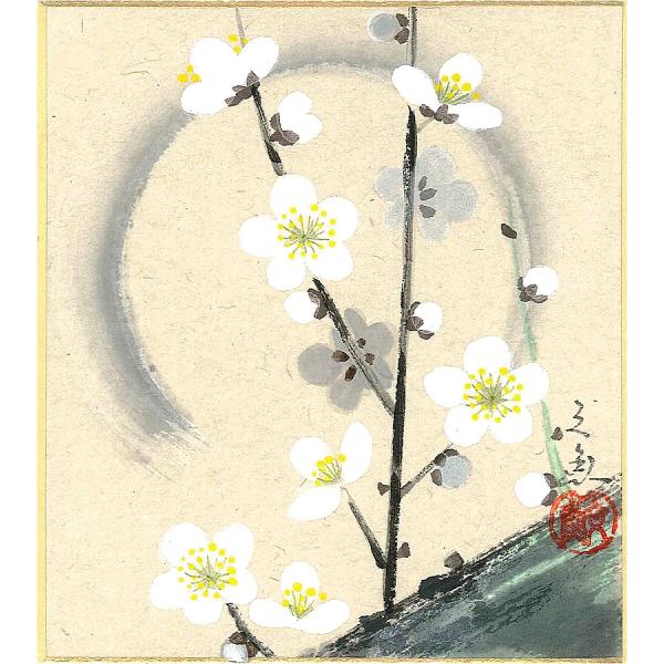 サイズ・寸松庵寸法：13.6X12.1cm商品説明・メーカーに在庫がある時は、ご入金確認後約１週間で発送します。・お急ぎのかたは「ショップへ相談」からメーカーの在庫状況をお問い合わせください。・このカタログは、2423年1月現在のものです。...