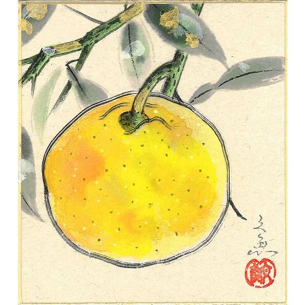 サイズ・寸松庵寸法：13.6X12.1cm商品説明・メーカーに在庫がある時は、ご入金確認後約１週間で発送します。・お急ぎのかたは「ショップへ相談」からメーカーの在庫状況をお問い合わせください。・このカタログは、2423年1月現在のものです。...