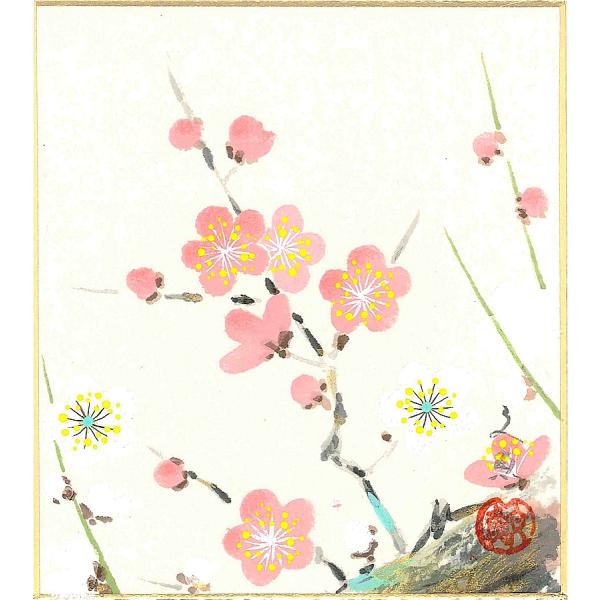 サイズ・寸松庵寸法：13.6X12.1cm商品説明・メーカーに在庫がある時は、ご入金確認後約１週間で発送します。・お急ぎのかたは「ショップへ相談」からメーカーの在庫状況をお問い合わせください。・このカタログは、2423年1月現在のものです。...