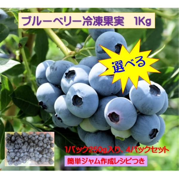 【発売日：2025年07月22日】研究農園が厳選した【品種で楽しむ冷凍ブルーベリー】味のこだわり：驚くほど多様な、品種ごとの個性と食感市販品ではなかなか味わえない、**品種によって異なる多様な「味」と「食感」**を冷凍のままお届けします。甘...