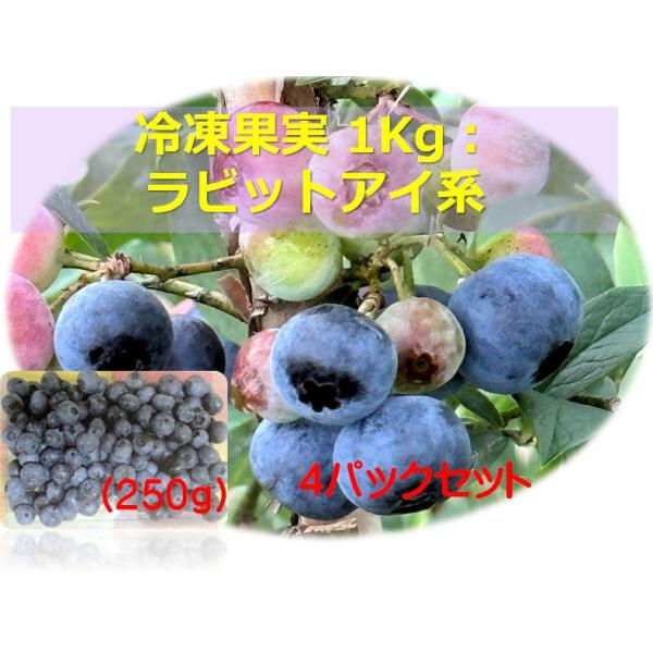 【発売日：2025年07月23日】研究農園が厳選した【品種で楽しむ冷凍ブルーベリー】ラビットアイ系味のこだわり：驚くほど多様な、品種ごとの個性と食感私たち研究農園が丹精込めて育てたブルーベリーの中から、特に個性豊かな品種を厳選しました。市販...