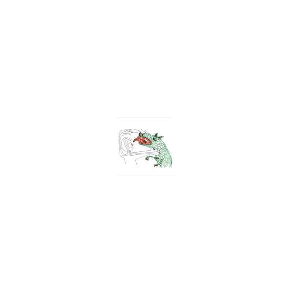 【発売日：2006年02月21日】ご注文後のキャンセル・返品は承れません。発売日:2006年02月21日/商品ID:1796552/ジャンル:ROCK/POP/フォーマット:CD/構成数:2/レーベル:Rock Action/アーティスト:...